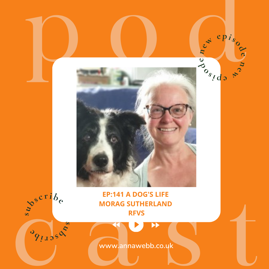 A Dog's Life with Anna Webb joined my Morag Sutherland of the Raw Feed