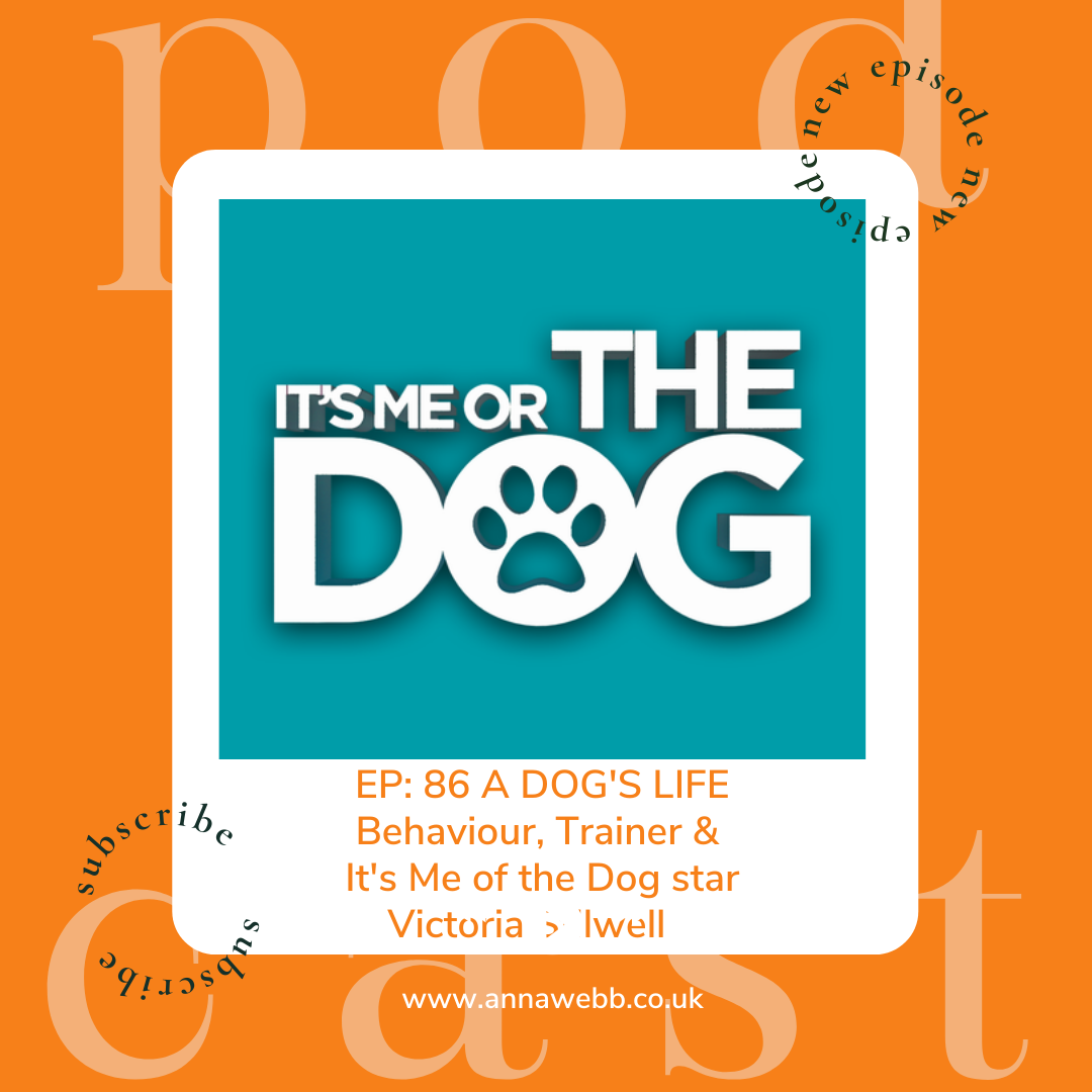 A Dog's Life with Anna Webb joined by Victoria Stilwell