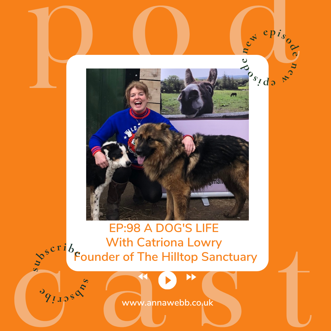 A Dog's Life with Anna Webb joined by Catriona Lowry of the Hilltop Sa