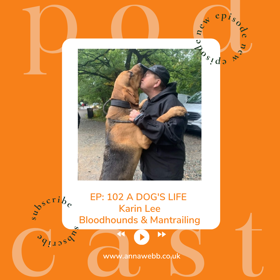 A Dog's Life with Anna Webb joined by Karin Lee on the Bloodhound trai