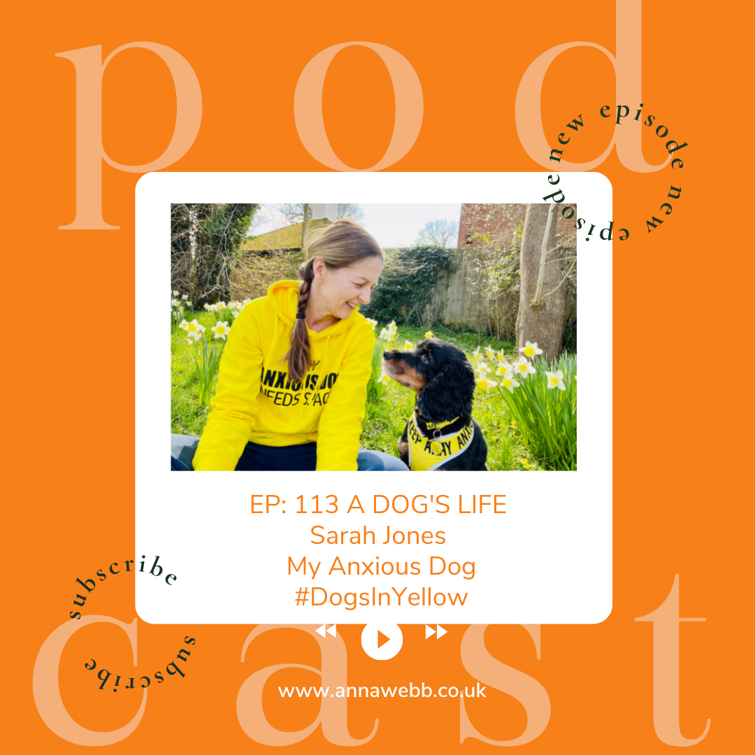 A Dog's Life with Anna Webb joined by Sarah Jones - My Anxious Dog
