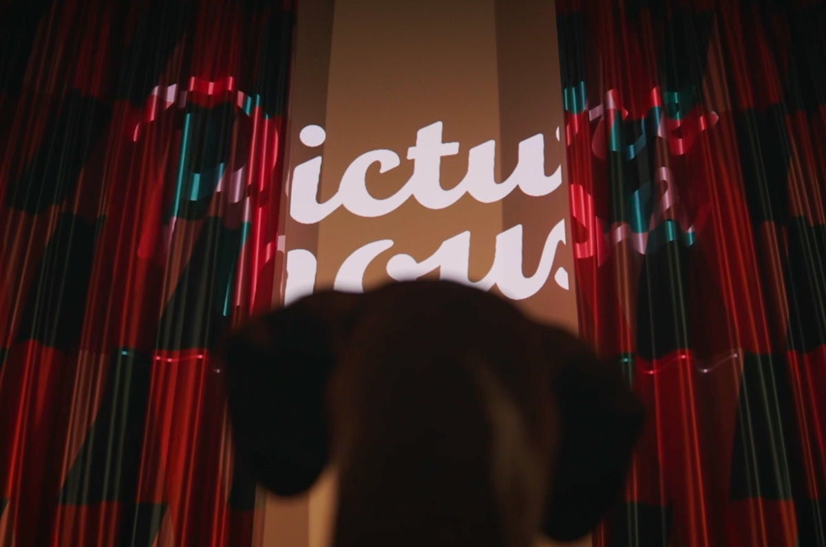 A Dog's Life with Anna Webb on dog friendly screenings at the Pictureh