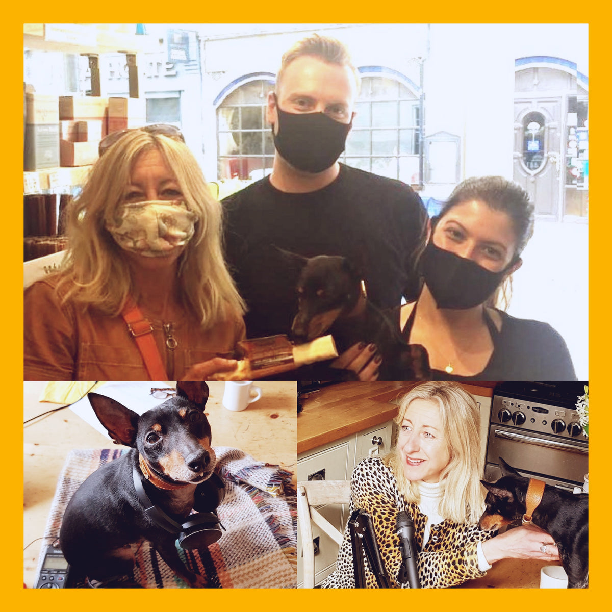 The role of the Independent Pet retailer in Lockdown – Anna Webb